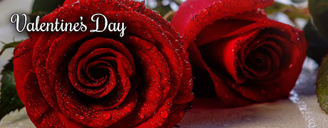 EXETER FLORIST,Flowers Exeter, Send Flowers Exeter, Flower Delivery,